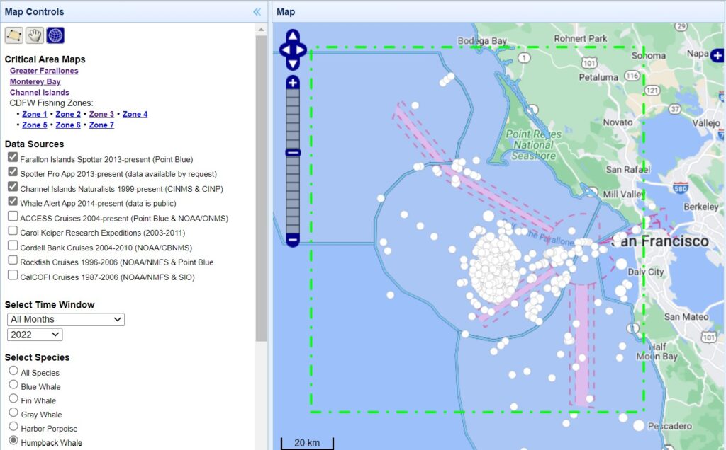 Where are the whales? – Whale Alert – West Coast
